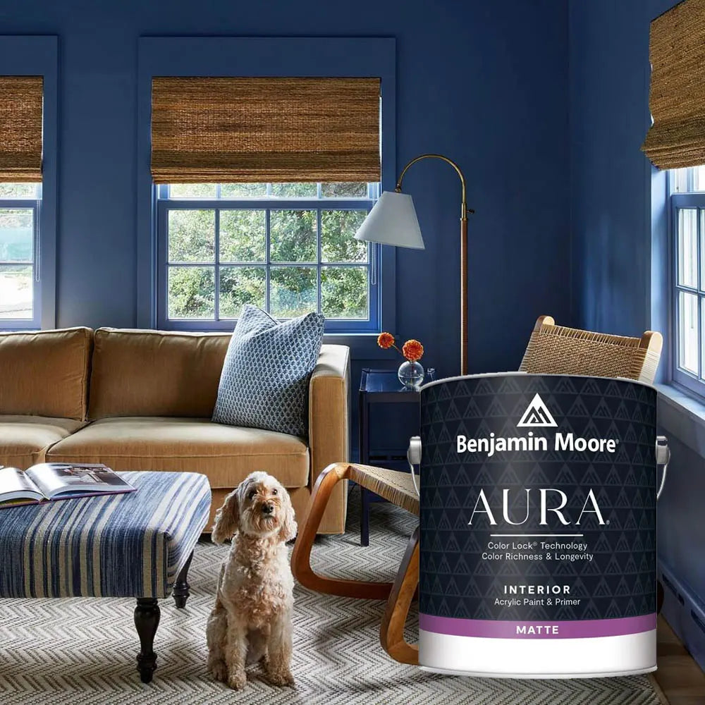 Benjamin Moore Paint & Primers from ADS — Abington Decorating Supplies